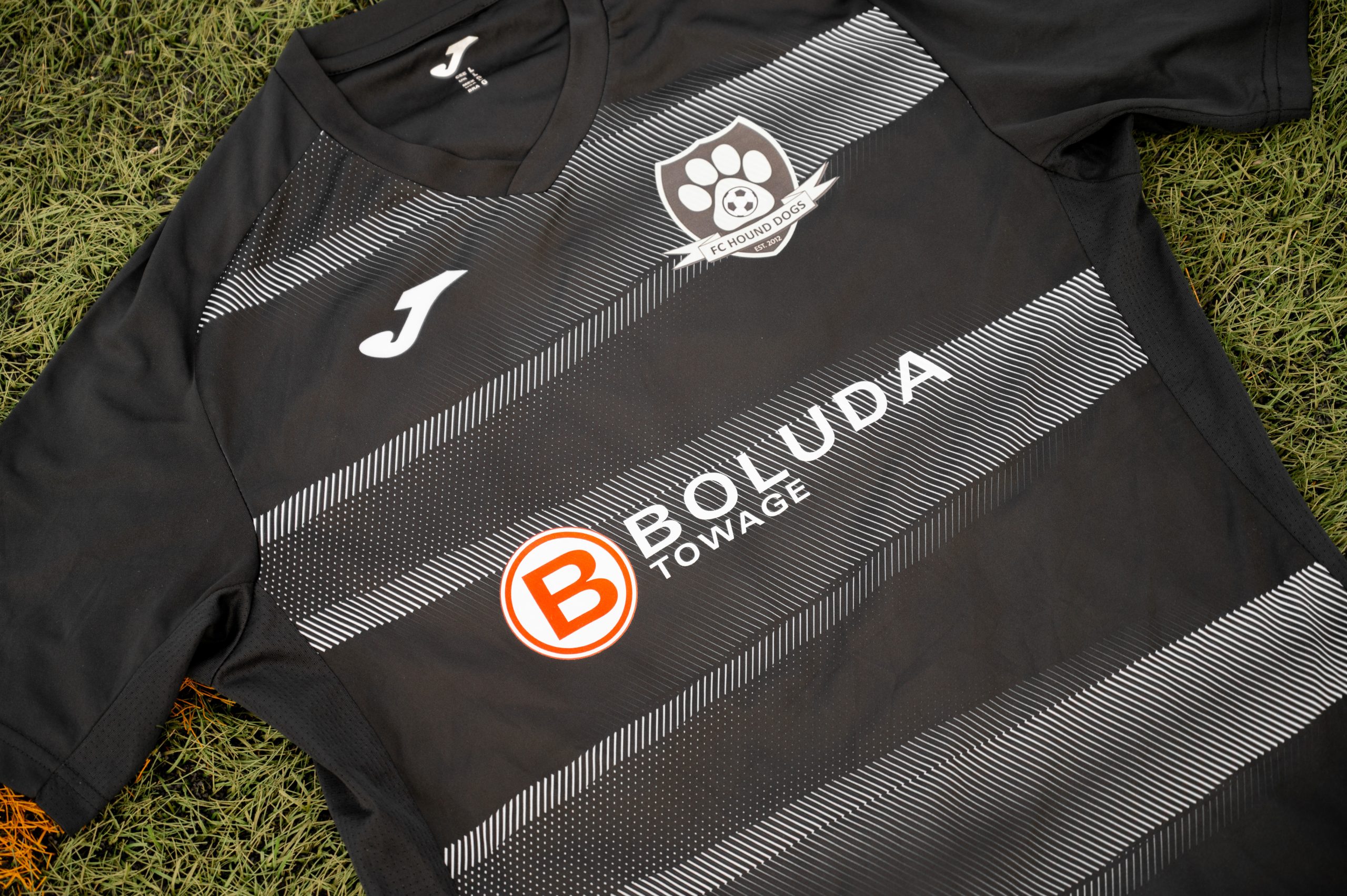 HOMEPAGE - FC HOUND DOGS